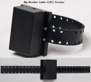 BIG BROTHER REAL-TIME (GPS) ANKLE TRACKER - DPL