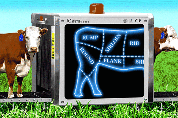 Airport X-Ray Machines Could Help Meat Industry Compete In Coming Years ...