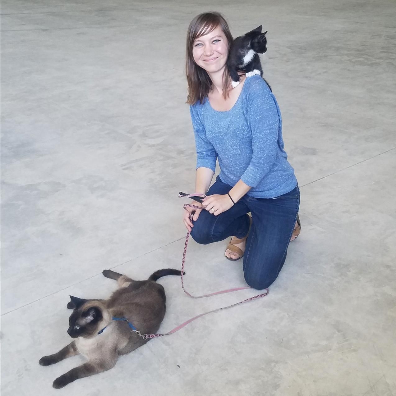 There Is Now Scientific Proof Your Cat Is Ignoring You - DPL