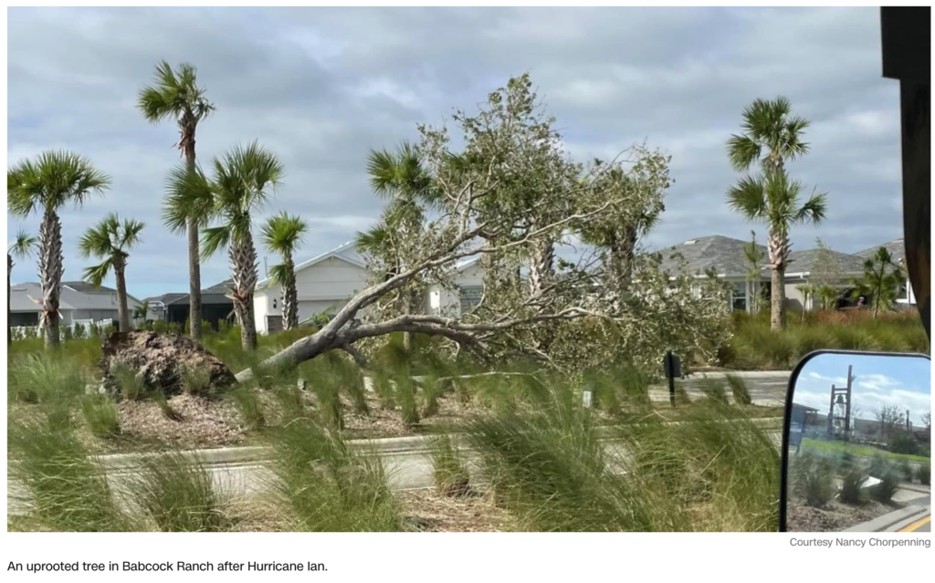 Project Stormfury AKA Controlling Hurricanes, Tornadoes And Earthquakes ...