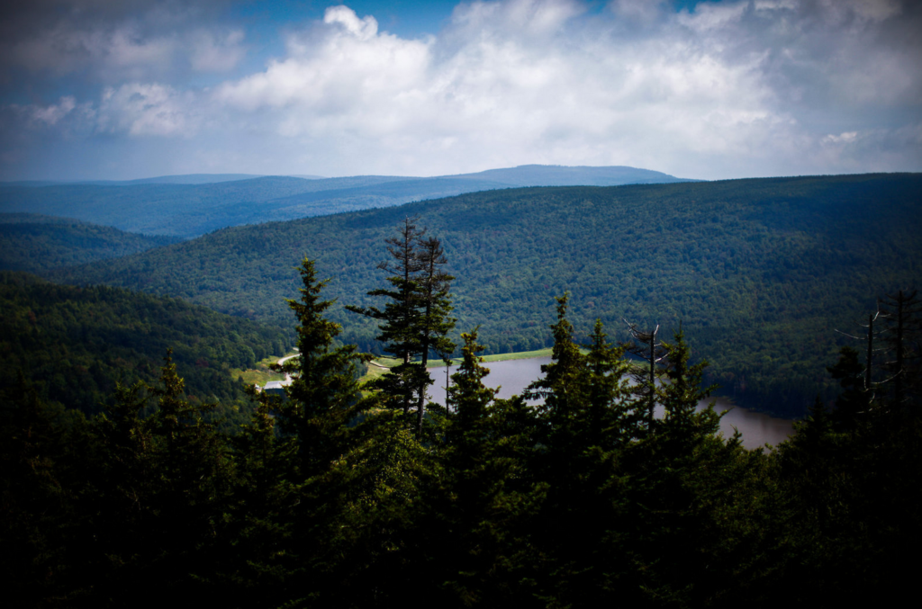 EMF Quiet Zones: Free From Electronic Harassment In USA & Worldwide - DPL