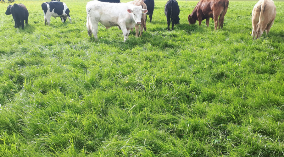 Project Stormfury AKA Controlling Hurricanes, Tornadoes And Earthquakes ...