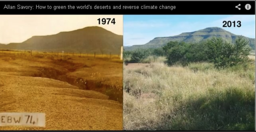 Project Stormfury AKA Controlling Hurricanes, Tornadoes And Earthquakes ...