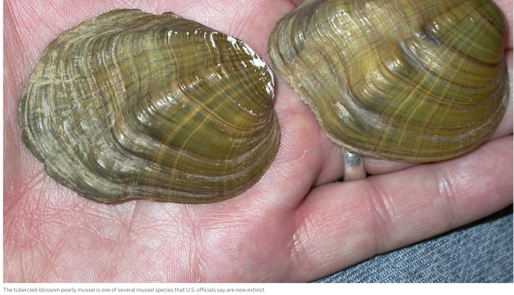 Meet The Scientists Bringing Extinct Species Back From The Dead - DPL