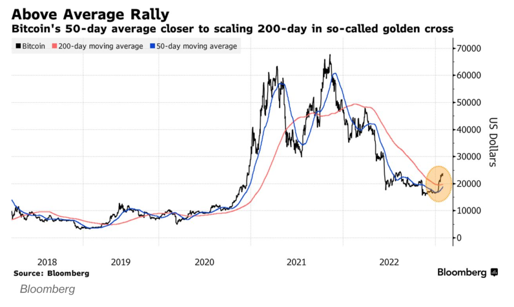Bitcoin Takes ‘Lion’s Share’ As Institutional Inflows Hit 7-Month High - DPL